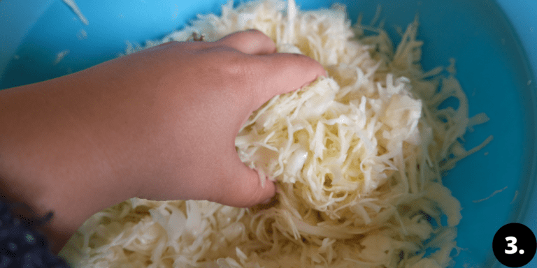 Irresistible German Coleslaw: Authentic Bavarian Krautsalat - My Dinner