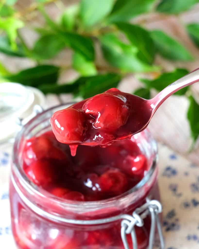 Easy Sour Cherry Compote from canned or frozen fruit - My Dinner